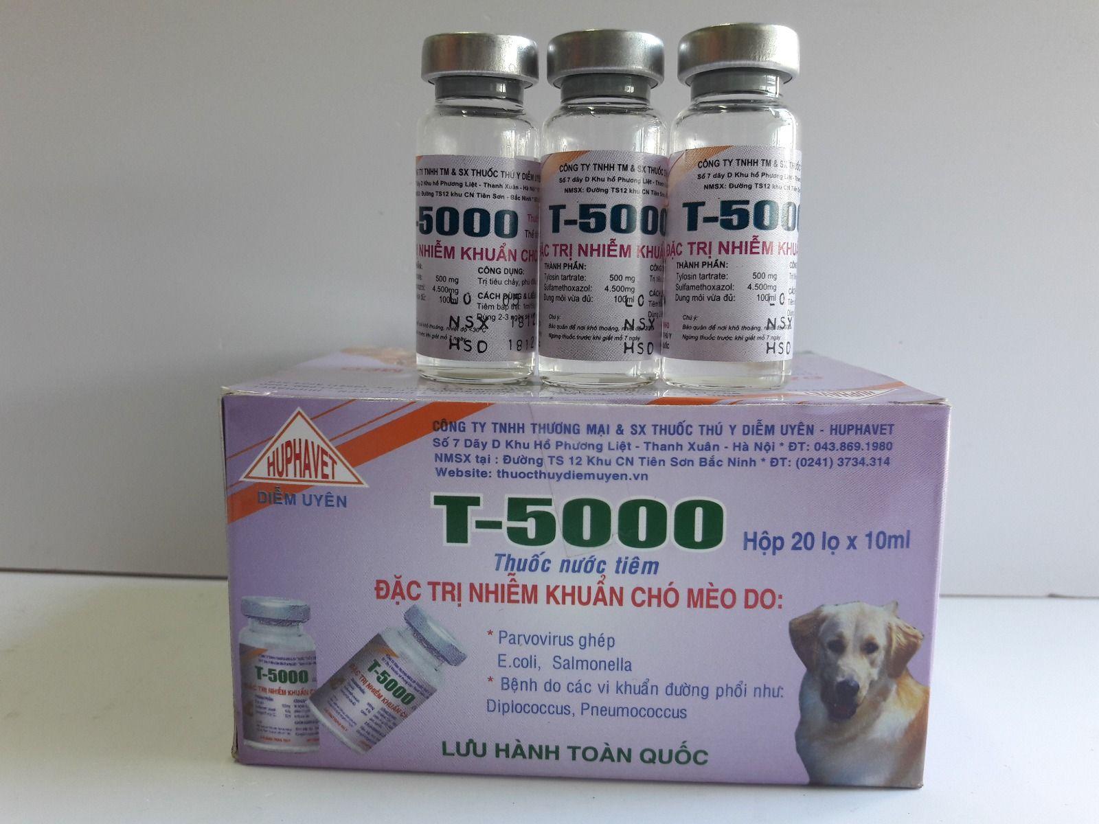 Top 18 thuốc tiêm chó t5000 mới nhất 2022 - Thú Cảnh