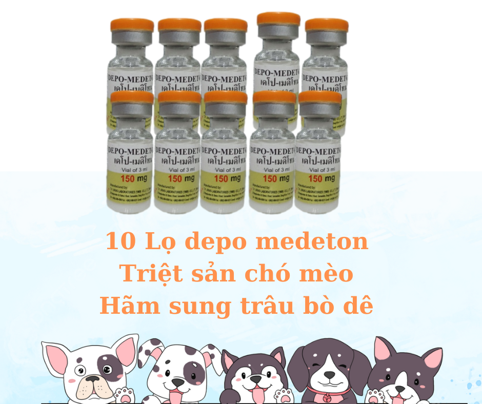 Metric - Nền tảng Số liệu E-commerce