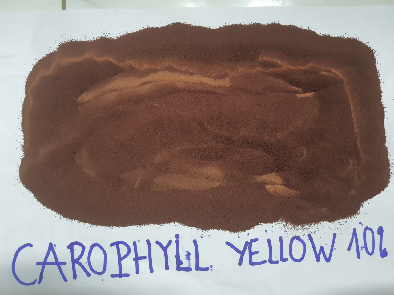 Carophyll giá rẻ Tháng 5,2023|BigGo Việt Nam