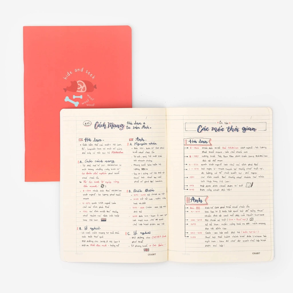 Jambong giá rẻ Tháng 6,2023|BigGo Việt Nam