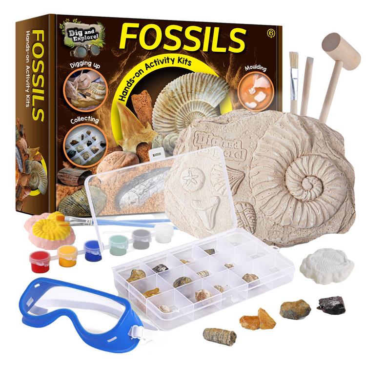 Fossils giá tốt Tháng 04,2023|BigGo Việt Nam