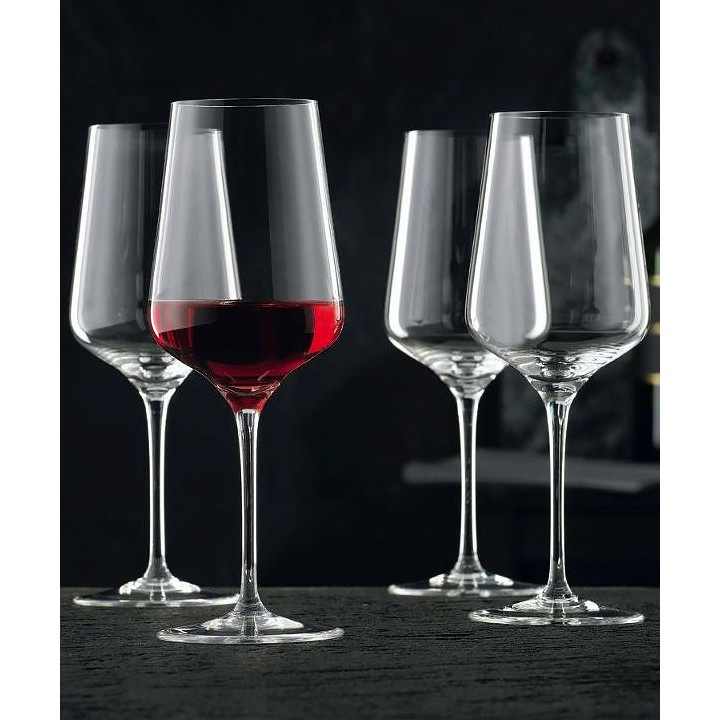 Ly Magnum giá rẻ Tháng 8,2023|BigGo Việt Nam