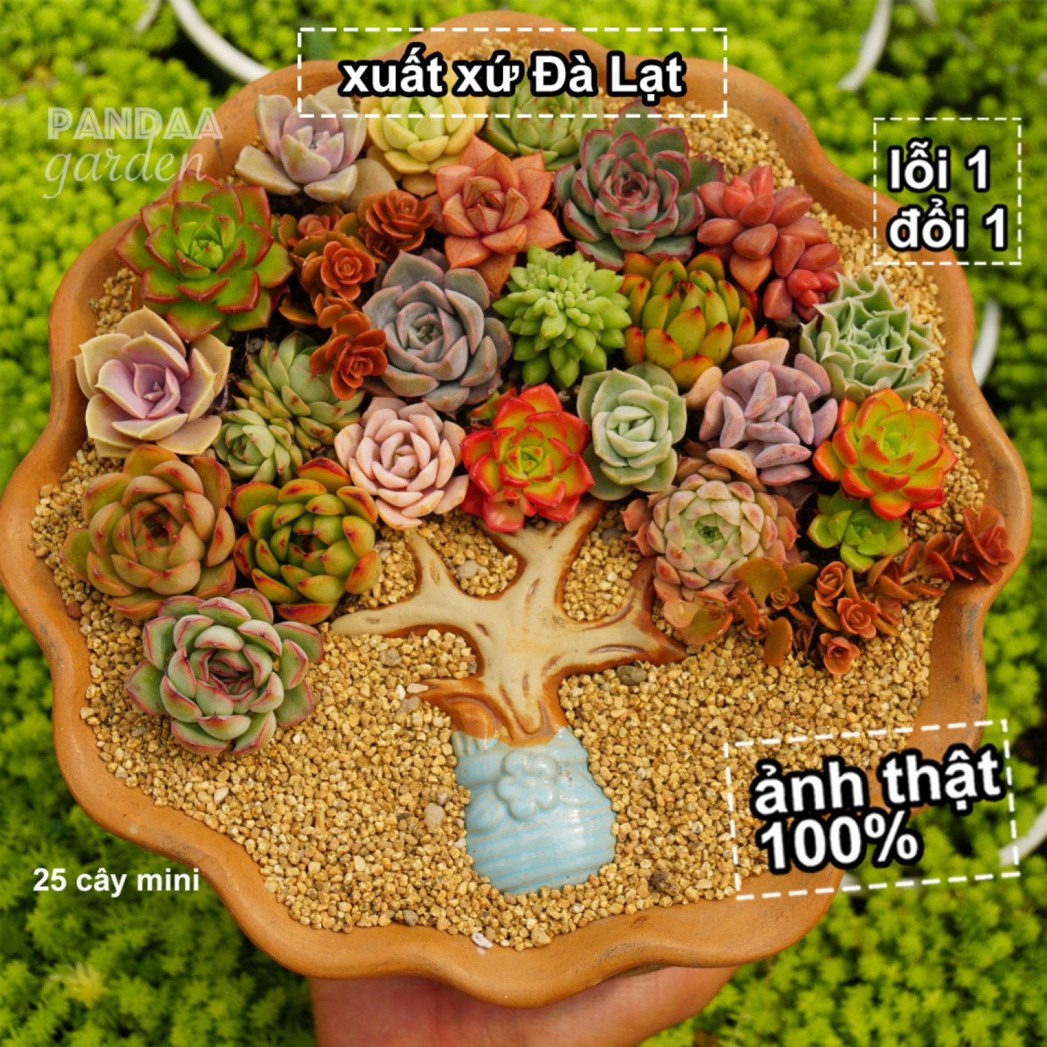 Metric - Nền tảng Số liệu E-commerce