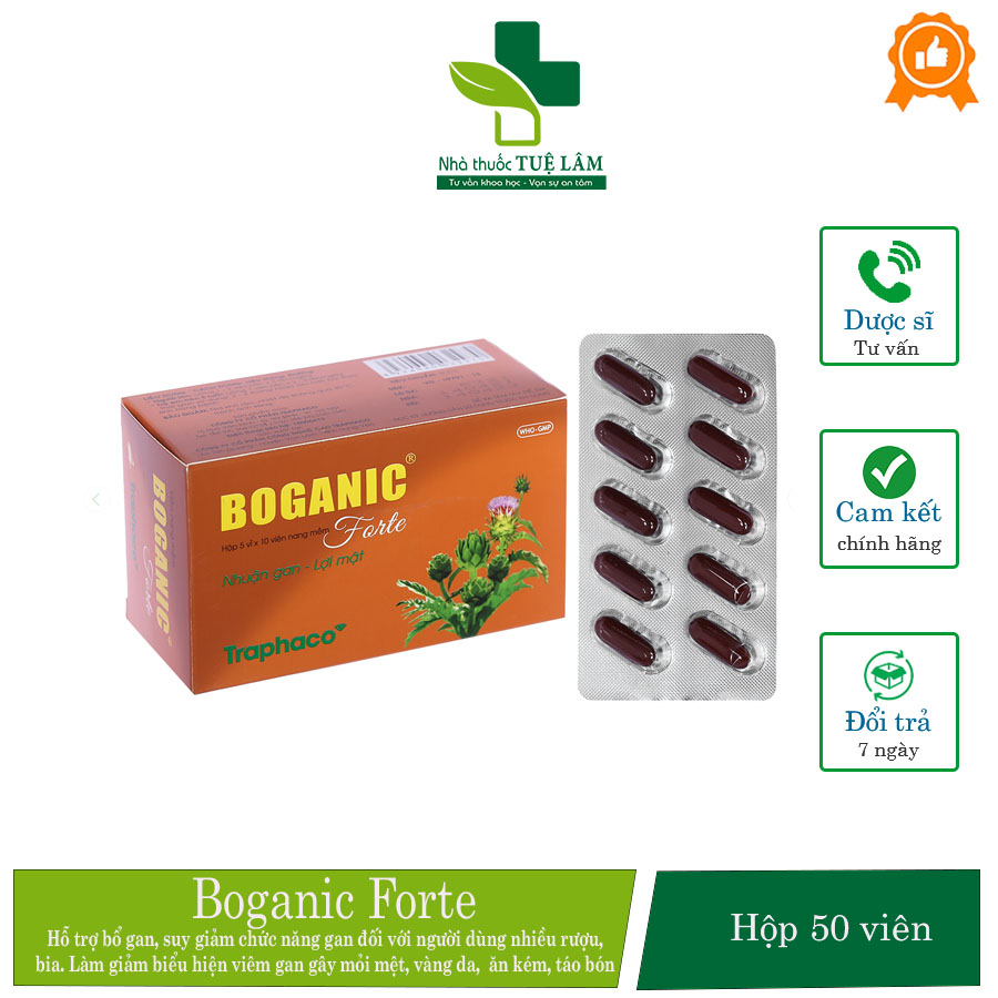 Forte giá rẻ Tháng 6,2023|BigGo Việt Nam