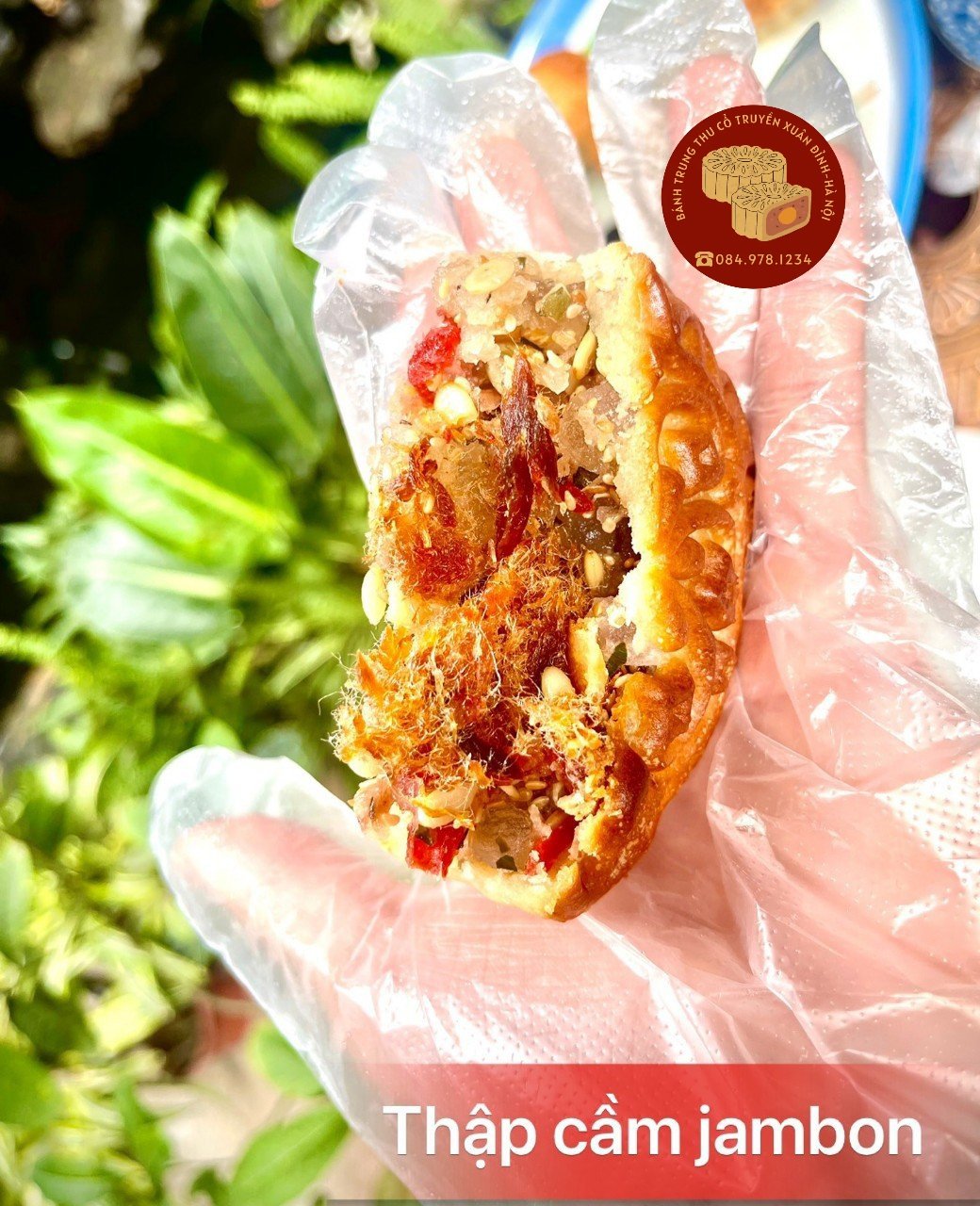 Jambong giá rẻ Tháng 7,2023|BigGo Việt Nam