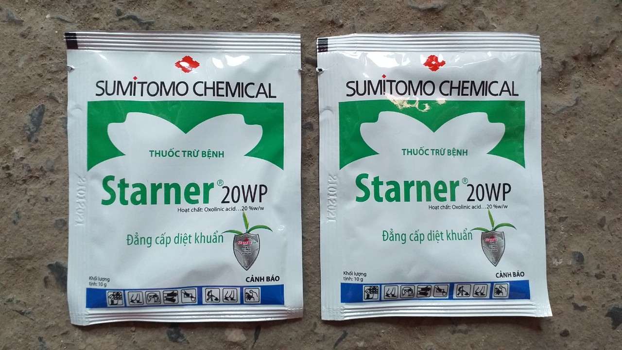Thuốc trừ bệnh STARNER 20WP của Nhật Bản - đặc trị vi khuẩn gây thối ...