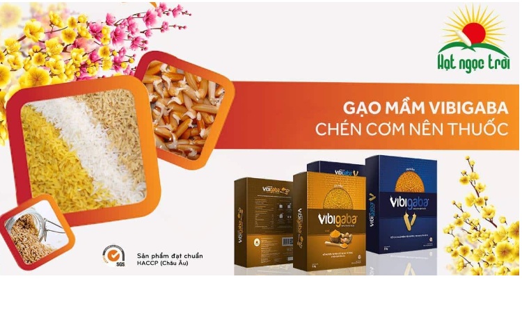 Combo Gạo Mầm Vibigaba - bảo vệ sức khỏe - 12 hộp x 1kg (nguyên thùng ...