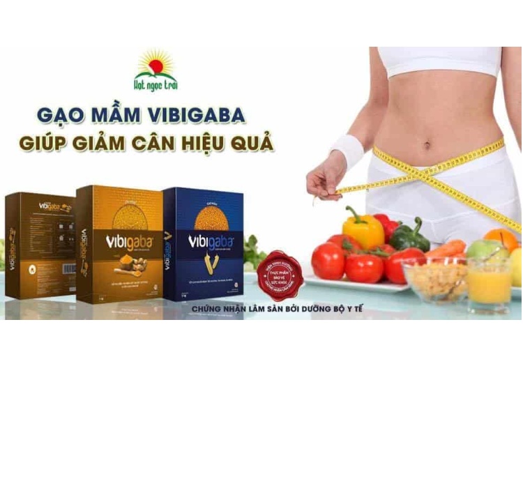 Combo Gạo Mầm Vibigaba - bảo vệ sức khỏe - 12 hộp x 1kg (nguyên thùng ...